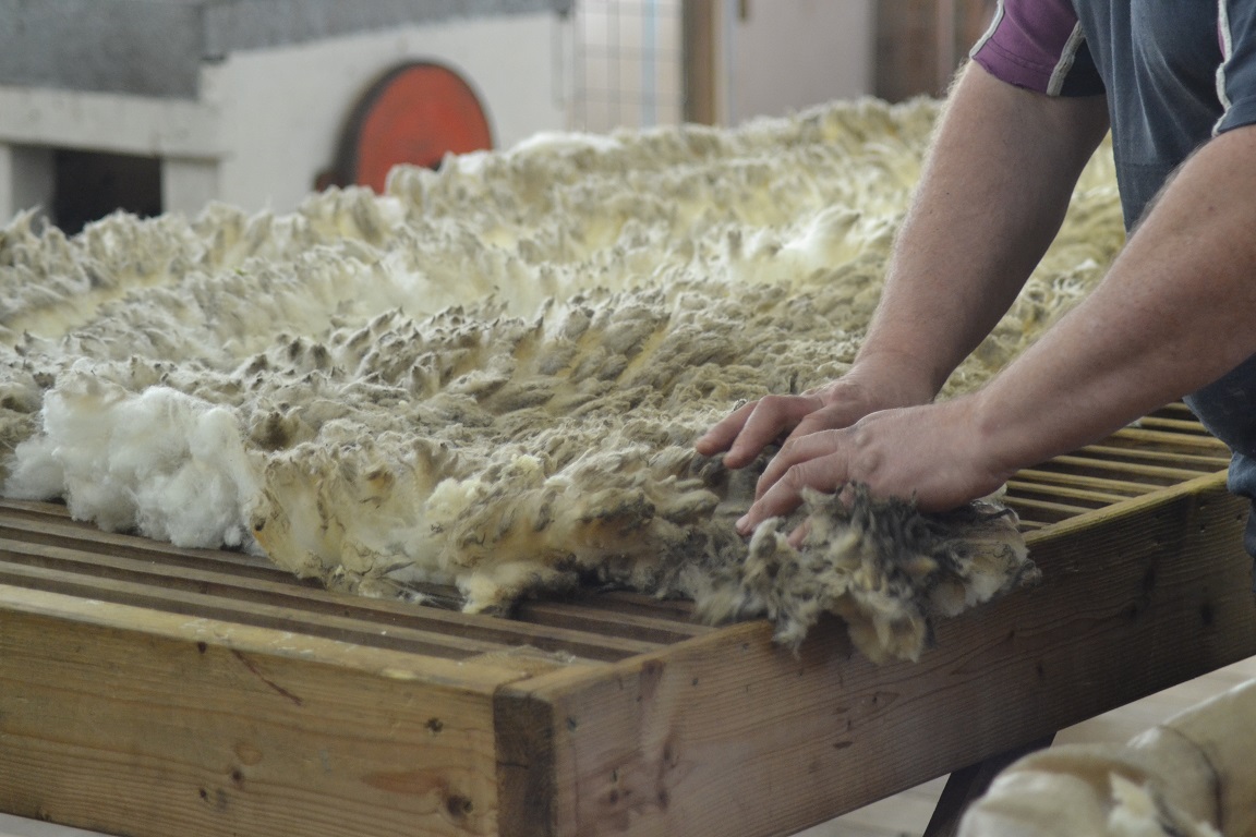 Falkland Islands Wool Company – The leading wool trading company for ...